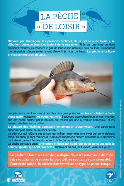 La pêche et les élevages aquacoles - Journée Mondiale pour la Fin de la ...